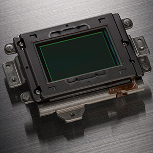 Nikon D810 scoort 97 punten bij DxO Mark | DIGIFOTO Pro