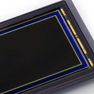 Terugblik 2012: Record aan fullframe-camera's | DIGIFOTO Pro