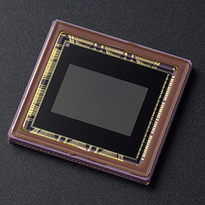 Nikon D2300 mini-dslr en Coolpix P8000 met 1-inchsensor op komst ...