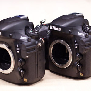 Nikon D800 Technical Guide | DIGIFOTO Pro