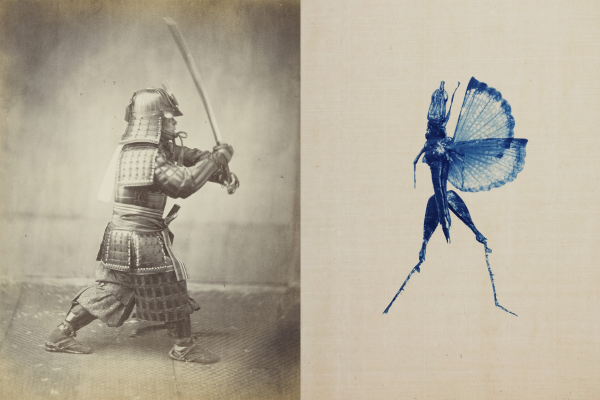 Ekō - Japan in twee beeldverhalen | DIGIFOTO Pro