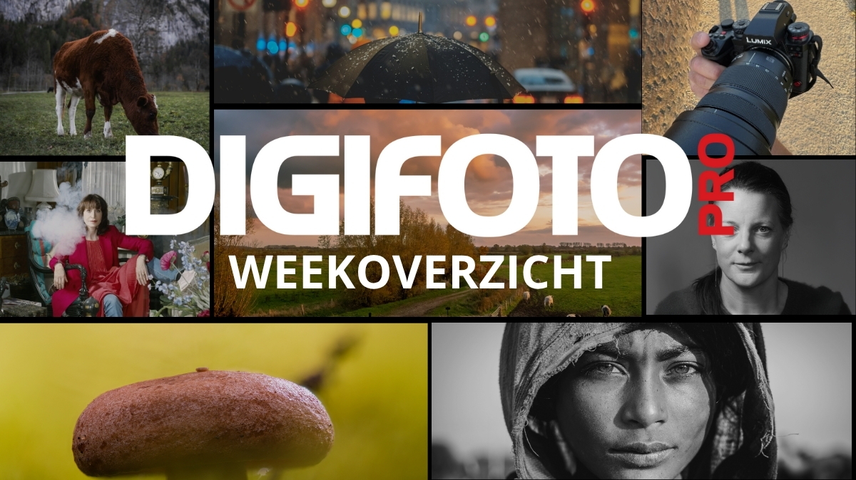 Weekoverzicht 47 op DIGIFOTO Pro | DIGIFOTO Pro